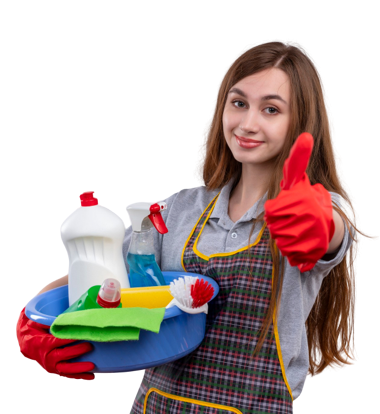 Maid Solution - Home Page